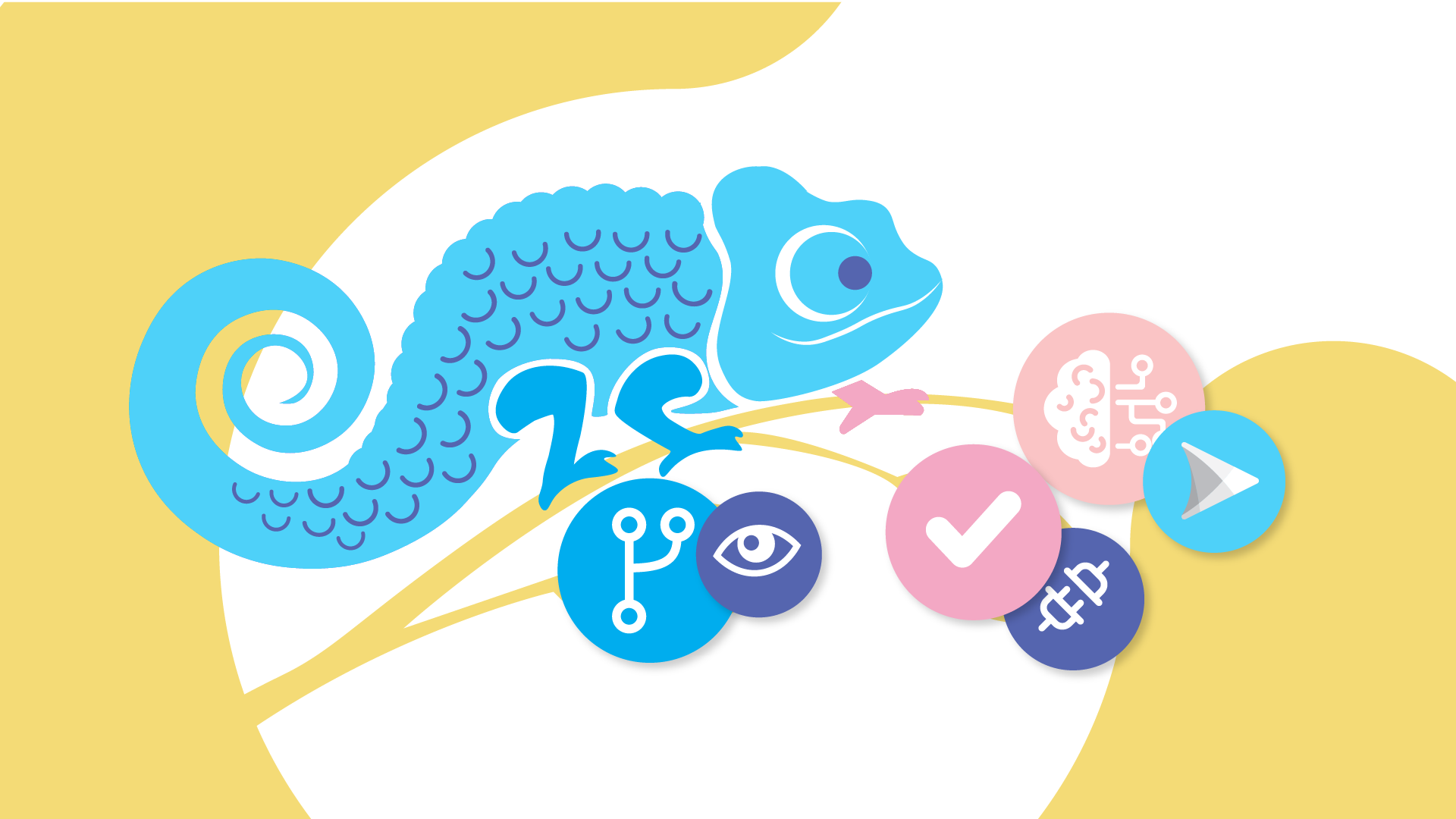 The Media Workflow Chameleon